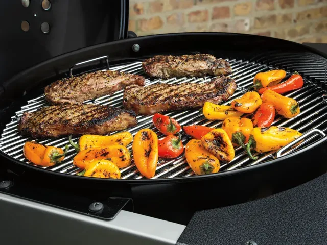 When Is the Best Time to Buy a BBQ Grill s: B2B